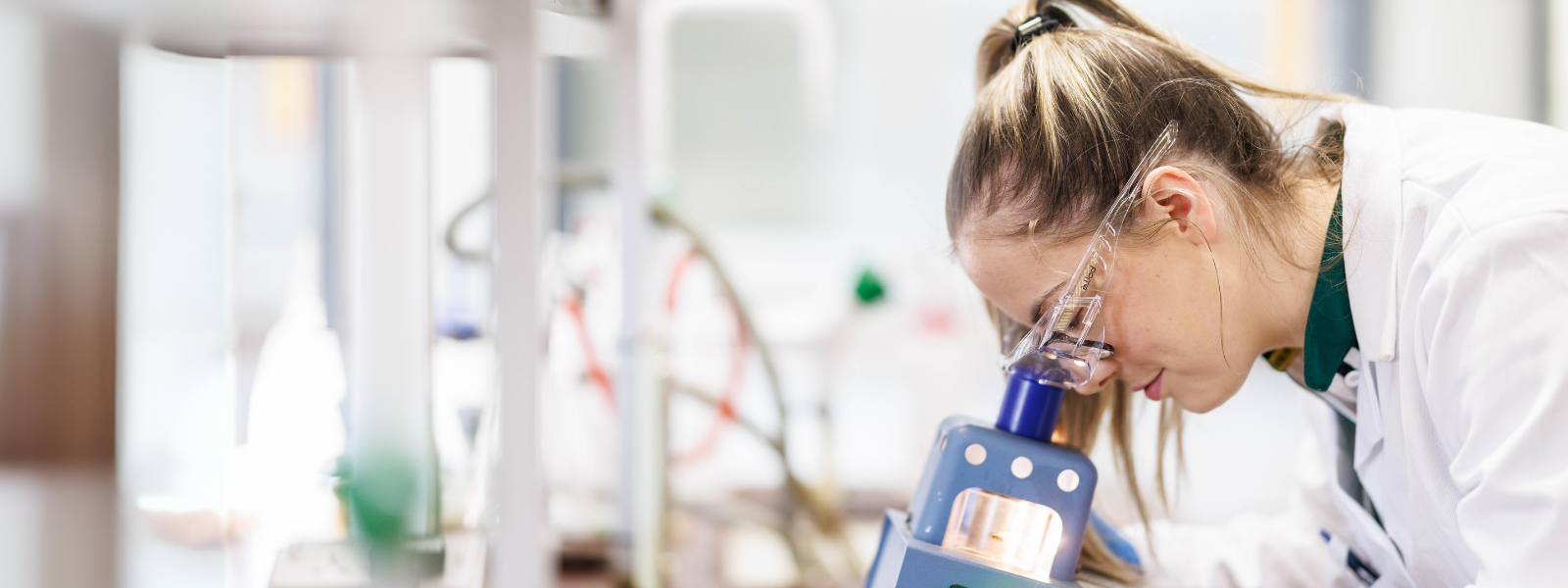 School of Chemistry and Chemical Engineering | Queen's University Belfast